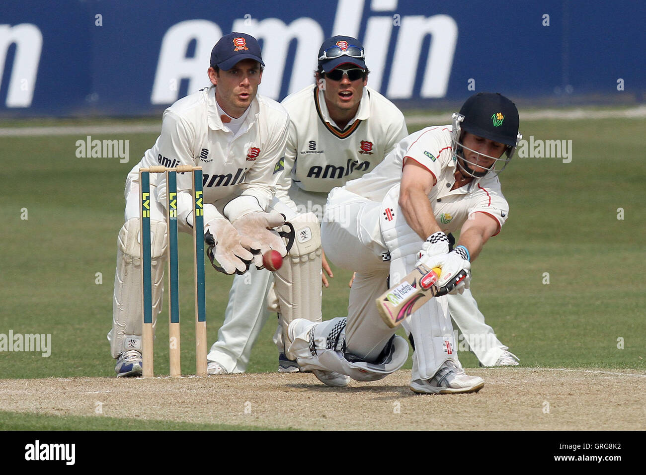 Mark wallace of glamorgan county cricket club hi-res stock photography ...
