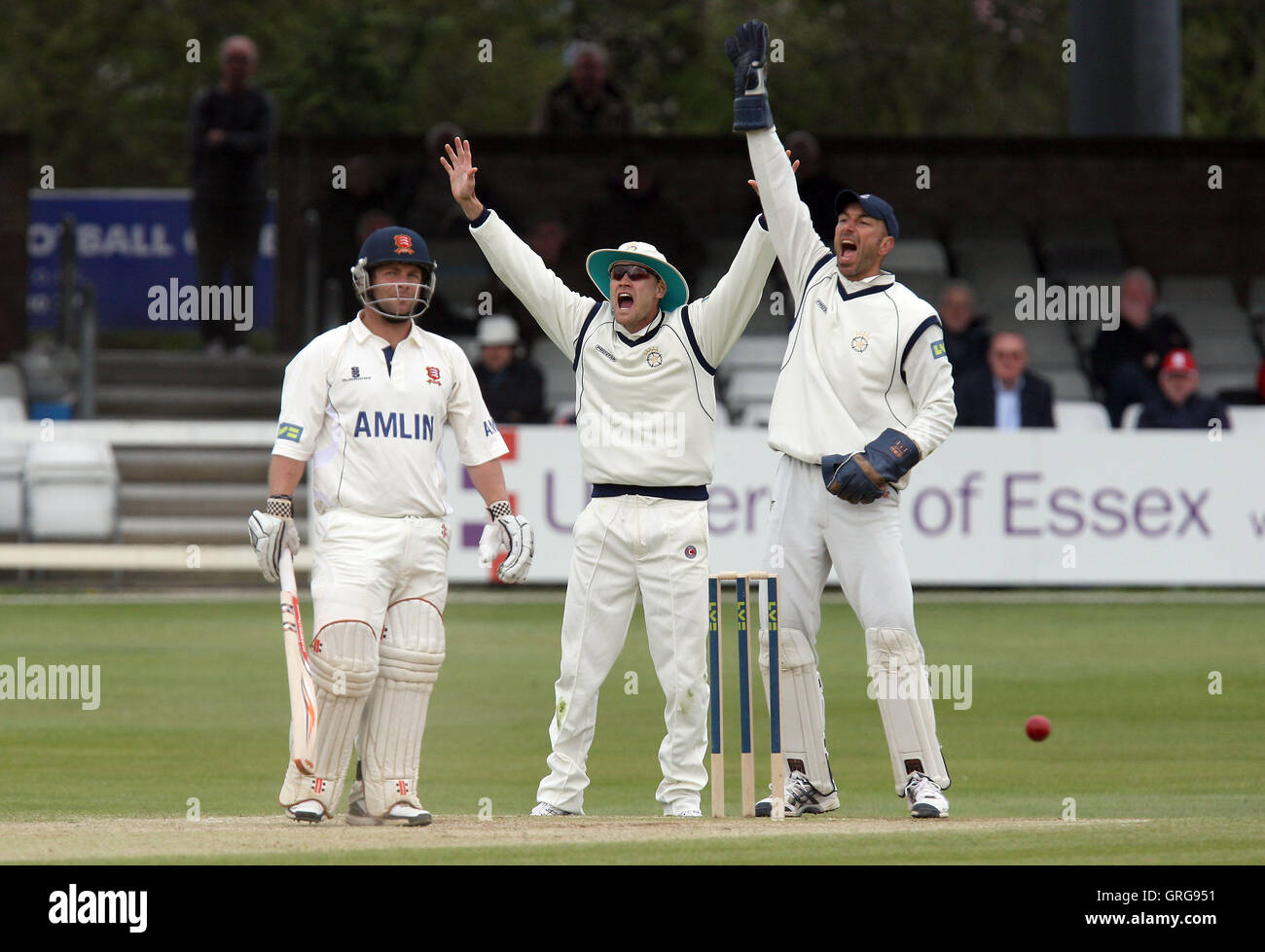 Nic Pothas (R) and Chris Benham appeal successfully for the wicket of ...