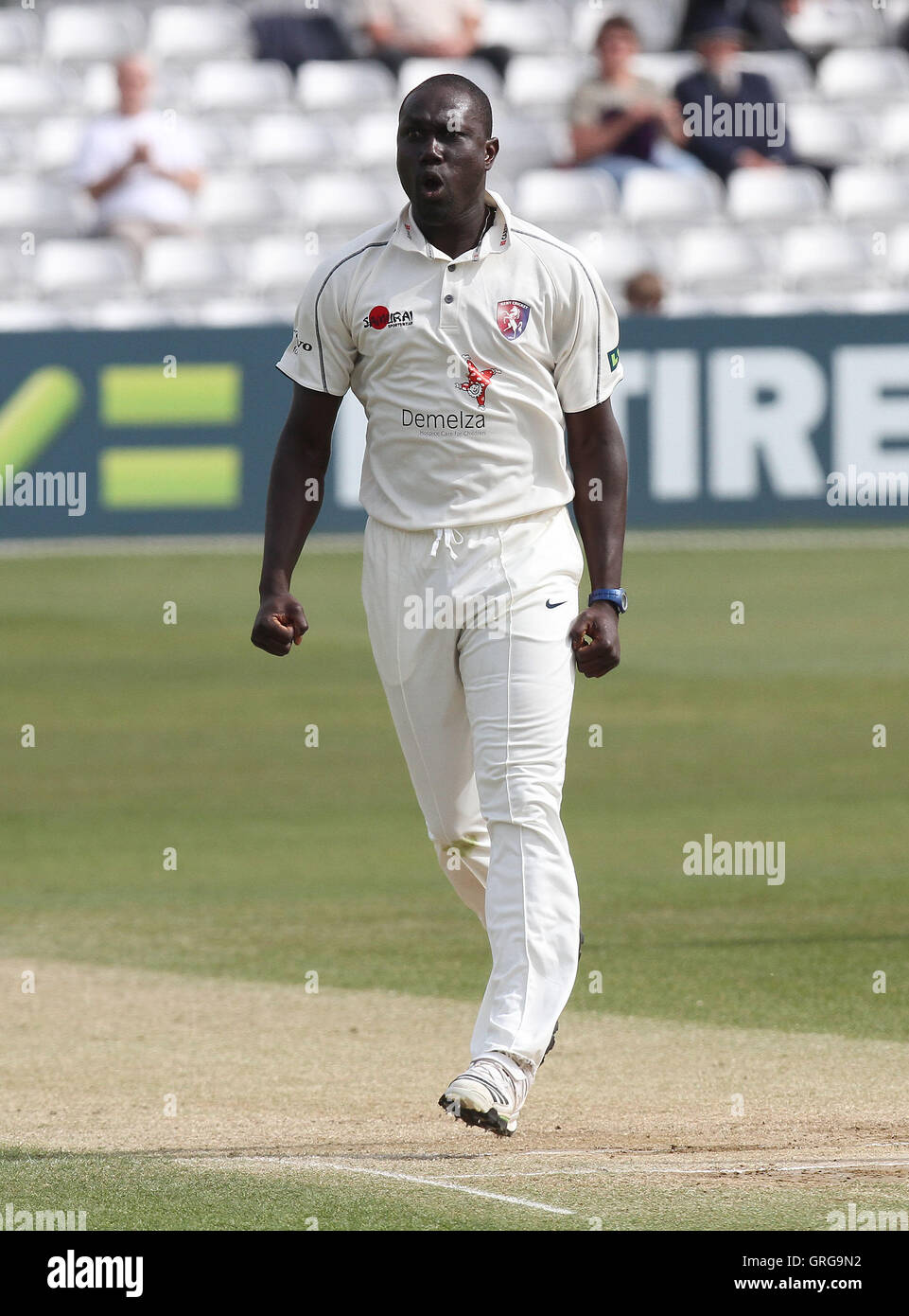 Robbie Joseph of Kent celebrates the wicket of Essex batsman Tim ...
