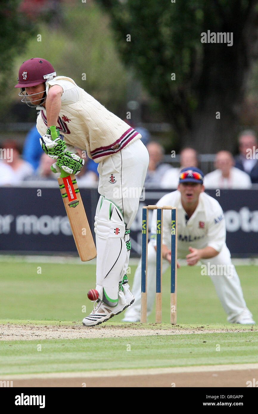 James hildreth of somerset county cricket club hi-res stock photography ...