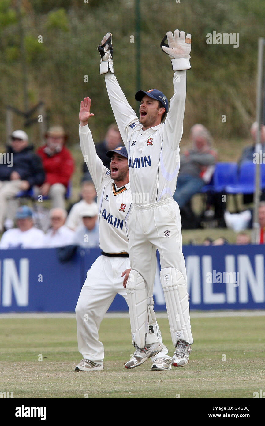 James Foster (R) and Mark Pettini celebrate the wicket of Darren Maddy ...