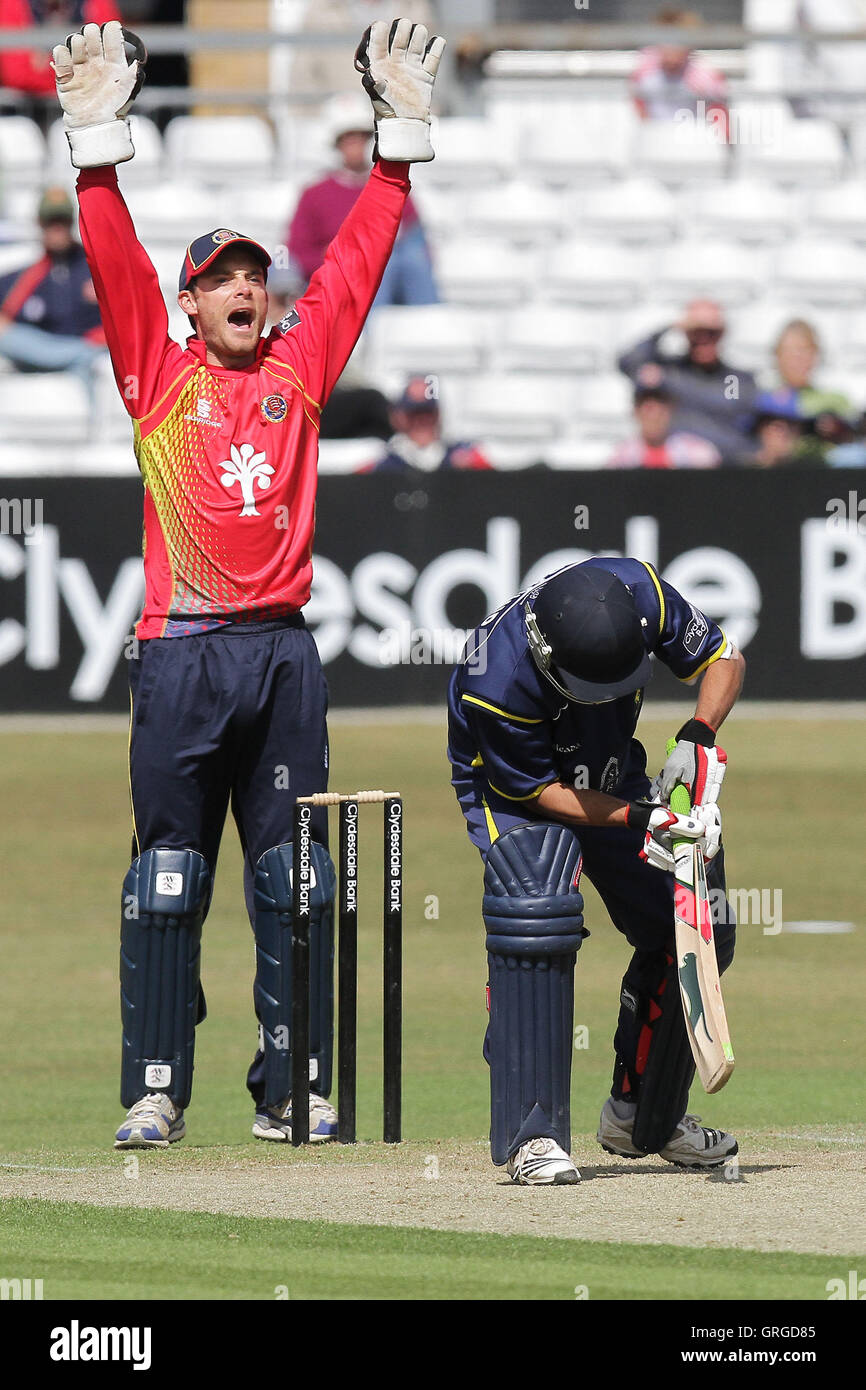 James Foster of Essex celebrates the wicket of Amar Rashid, trapped lbw ...
