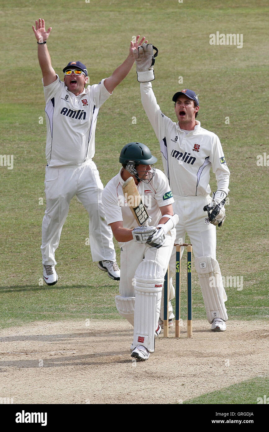 Grace road wayne white hi-res stock photography and images - Alamy