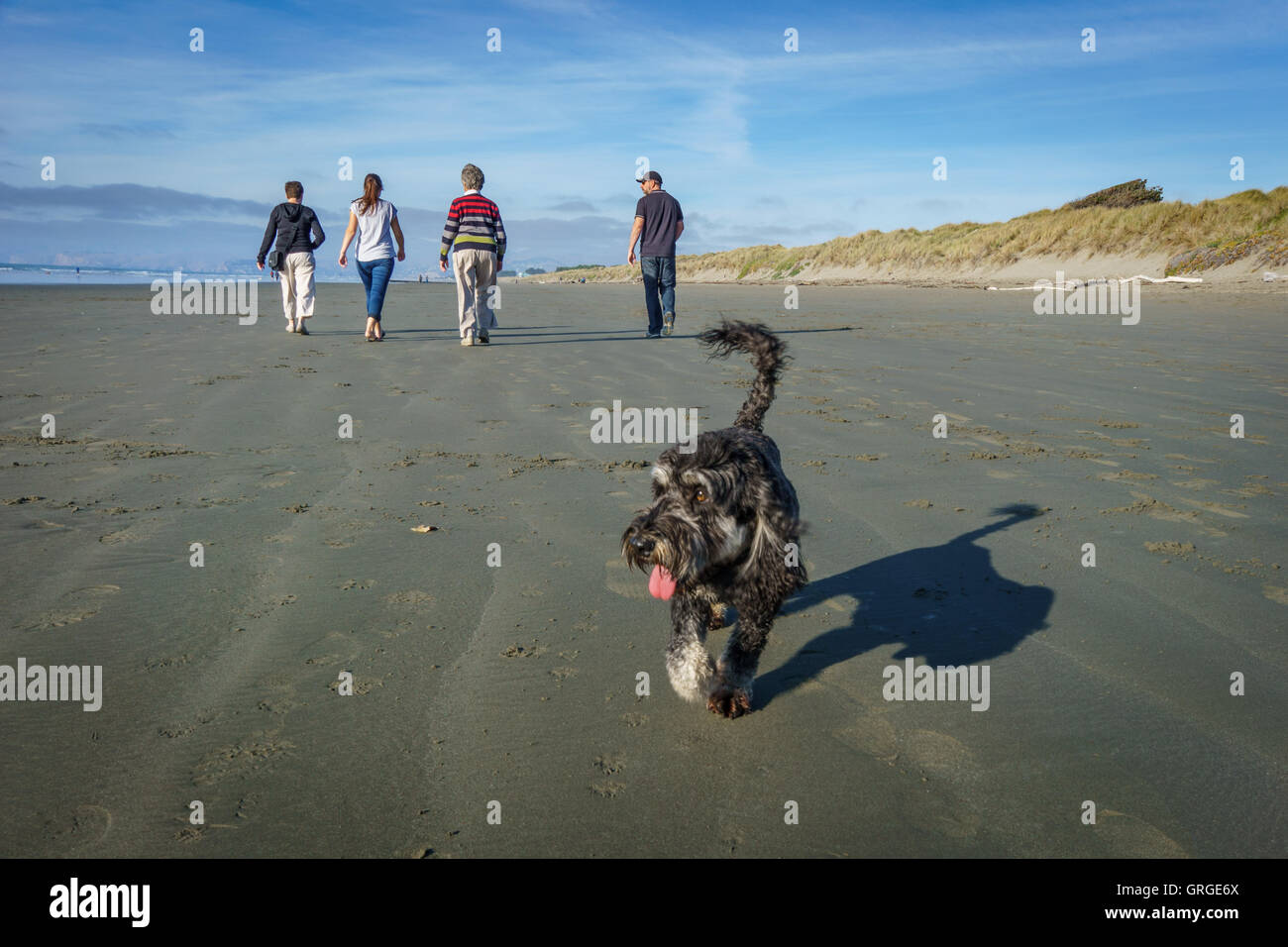 Family leaving hi-res stock photography and images - Alamy