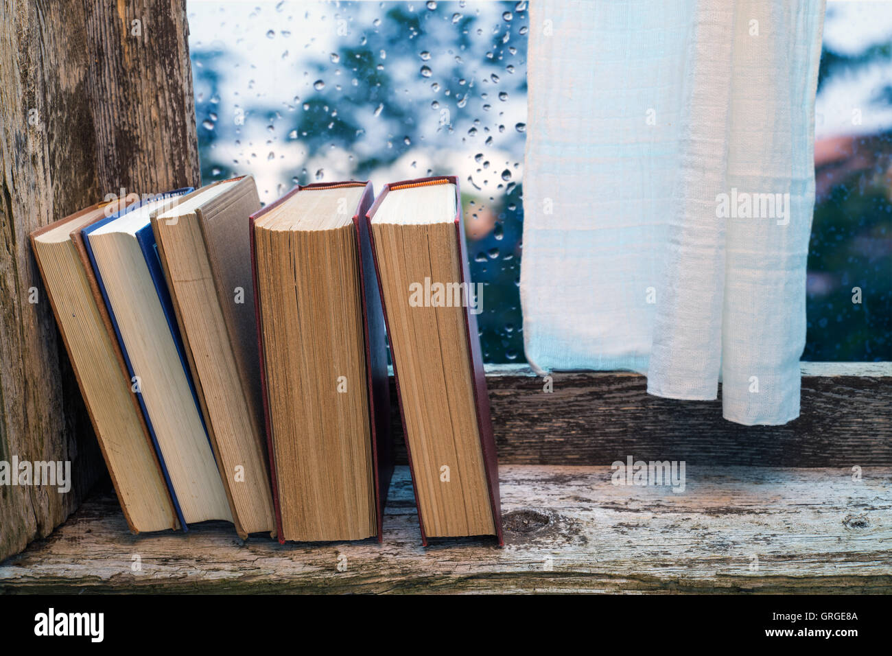 Books window hi-res stock photography and images - Alamy