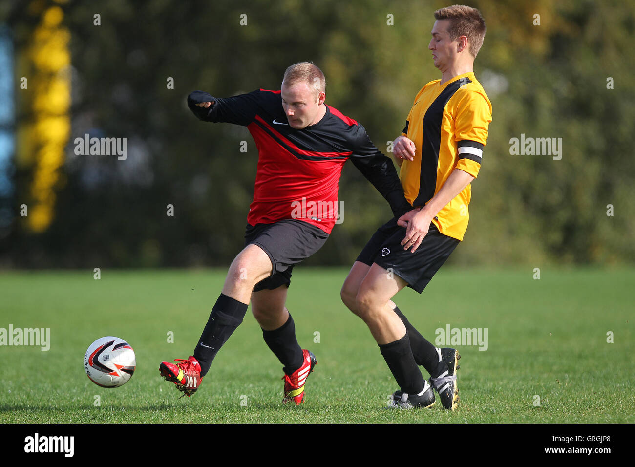 South London Sharks (yellow) vs City Flyers, Hackney & Leyton Sunday ...