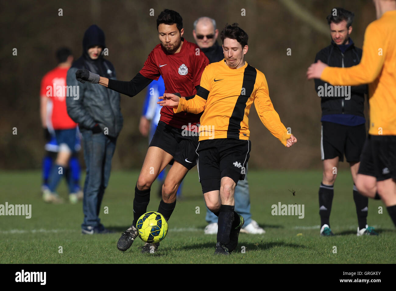 South London Sharks (yellow/black) vs Regents Park Rovers, Hackney ...