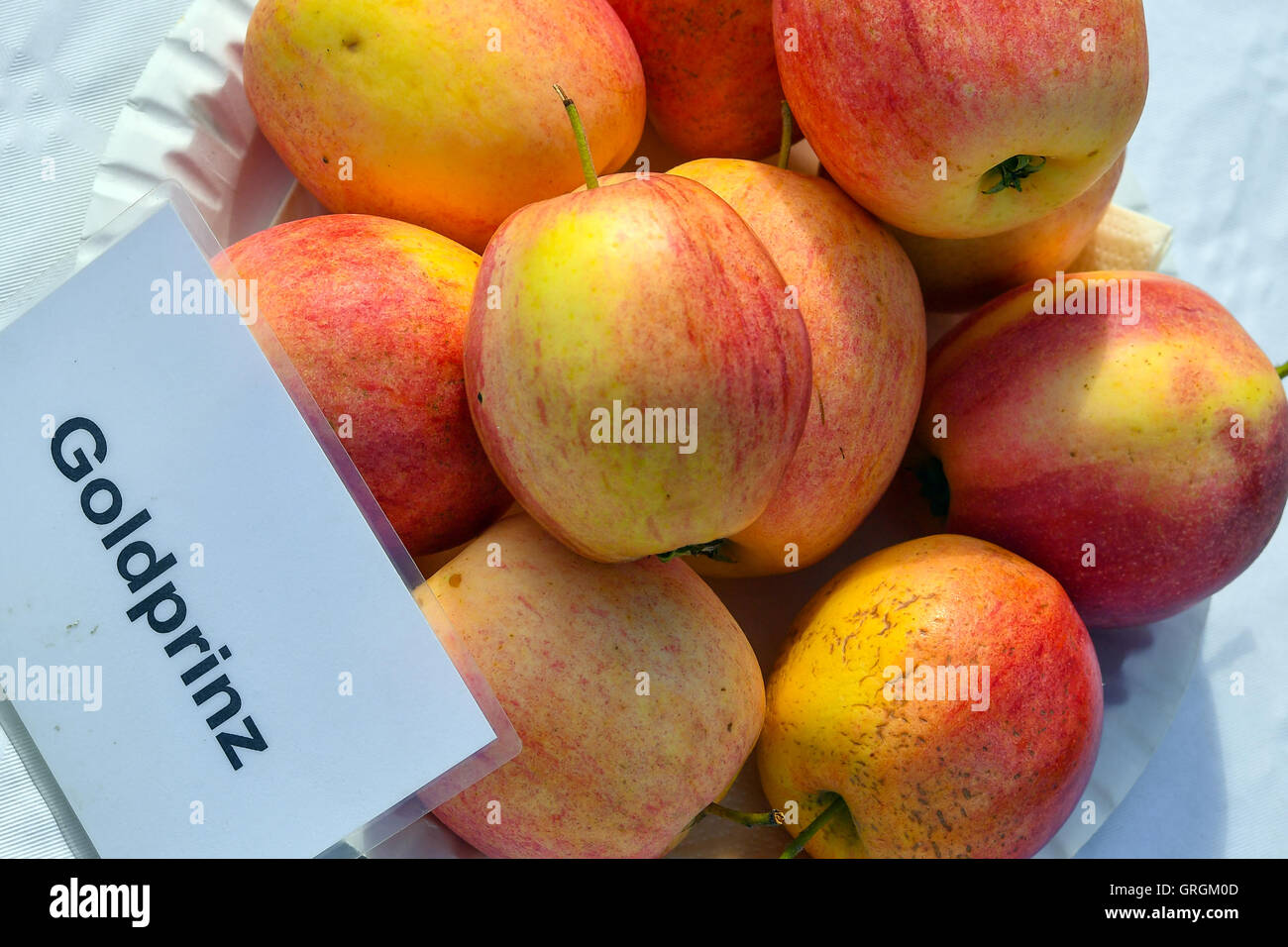 Muencheberg, Germany. 6th Sep, 2016. The apple variety 'Goldprinz ...