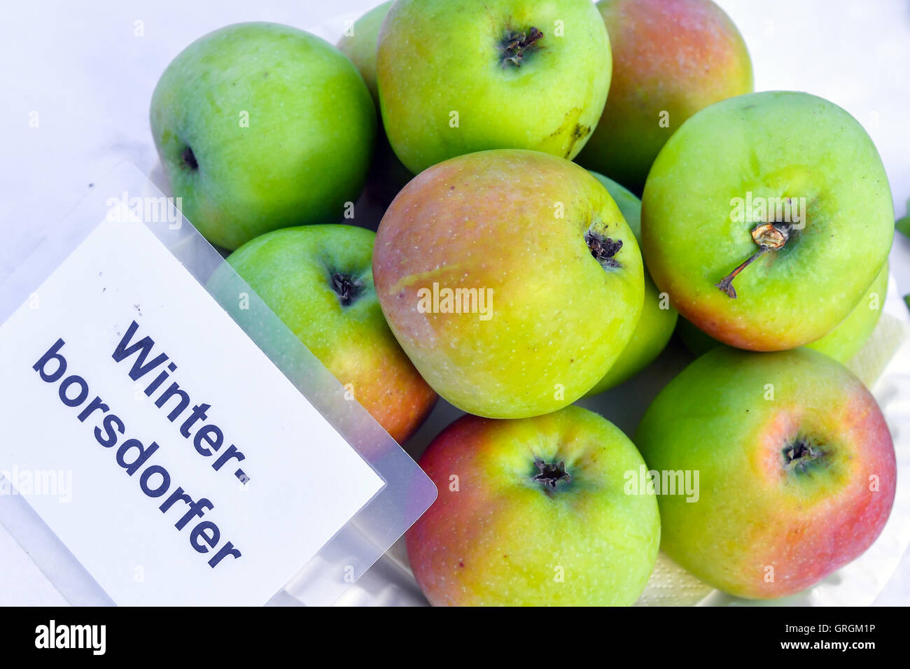 Muencheberg, Germany. 6th Sep, 2016. The apple variety ...