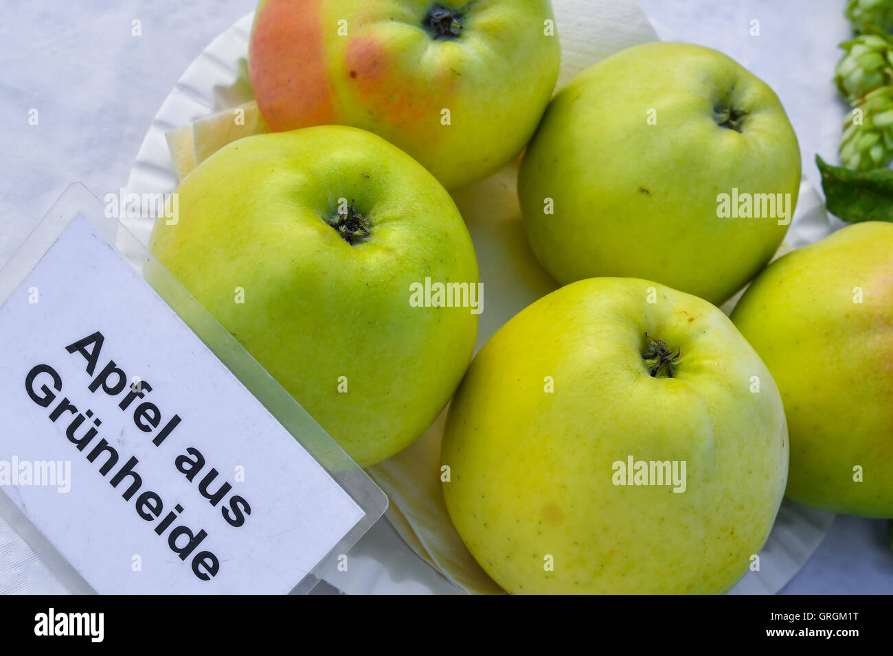 Muencheberg, Germany. 6th Sep, 2016. The apple variety 'Apfel aus ...