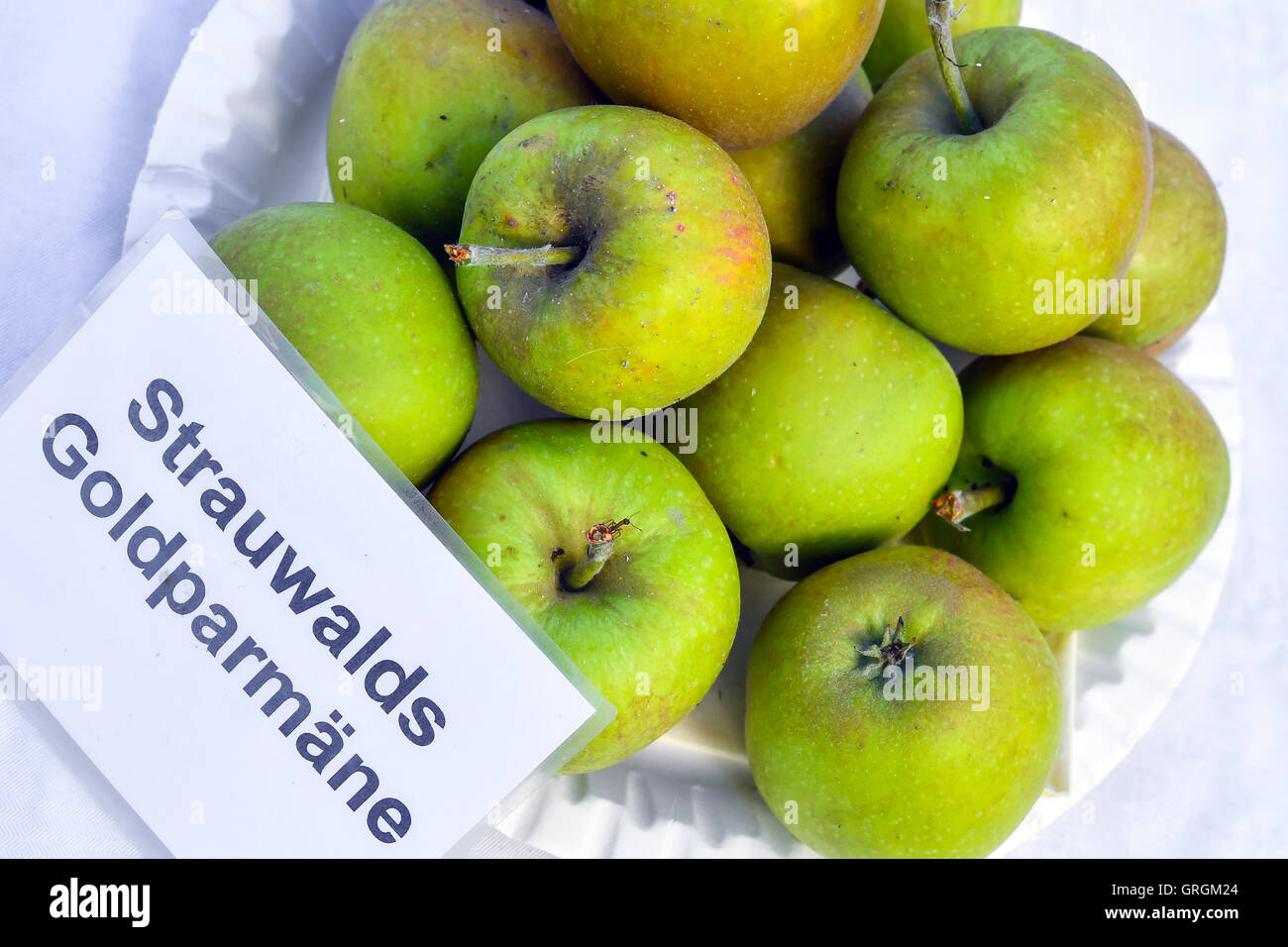 Muencheberg, Germany. 6th Sep, 2016. The apple variety 'Strauwald ...