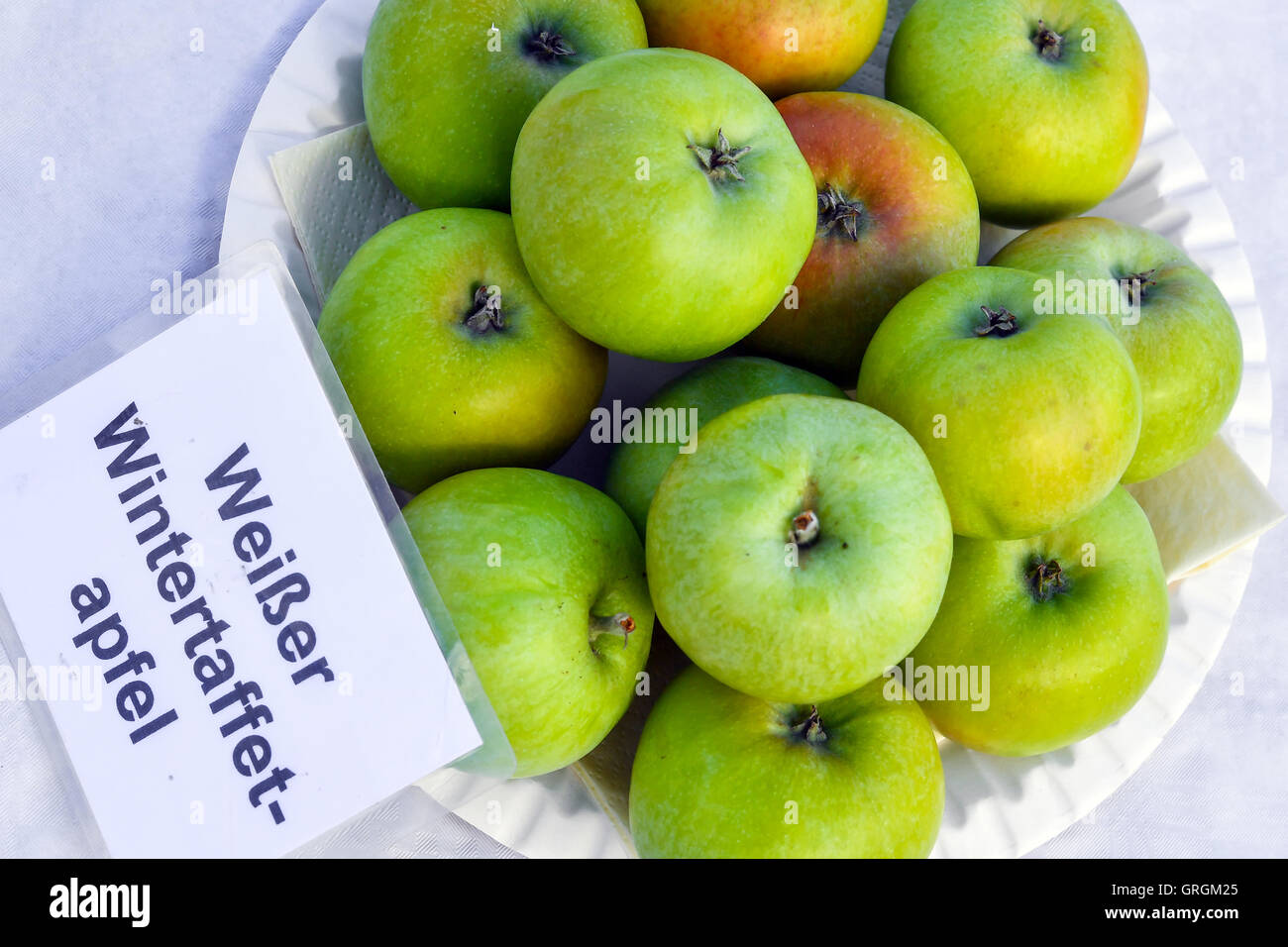 Muencheberg, Germany. 6th Sep, 2016. The apple variety 'Weisser ...