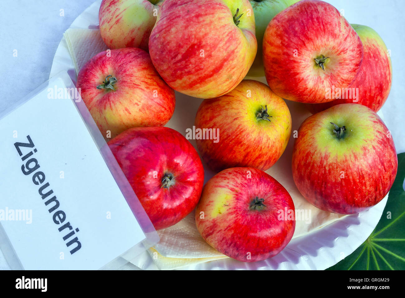 Muencheberg, Germany. 6th Sep, 2016. The apple variety 'Zigeunerin ...