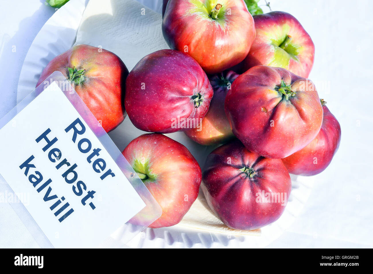 Muencheberg, Germany. 6th Sep, 2016. The apple variety 'Roter ...