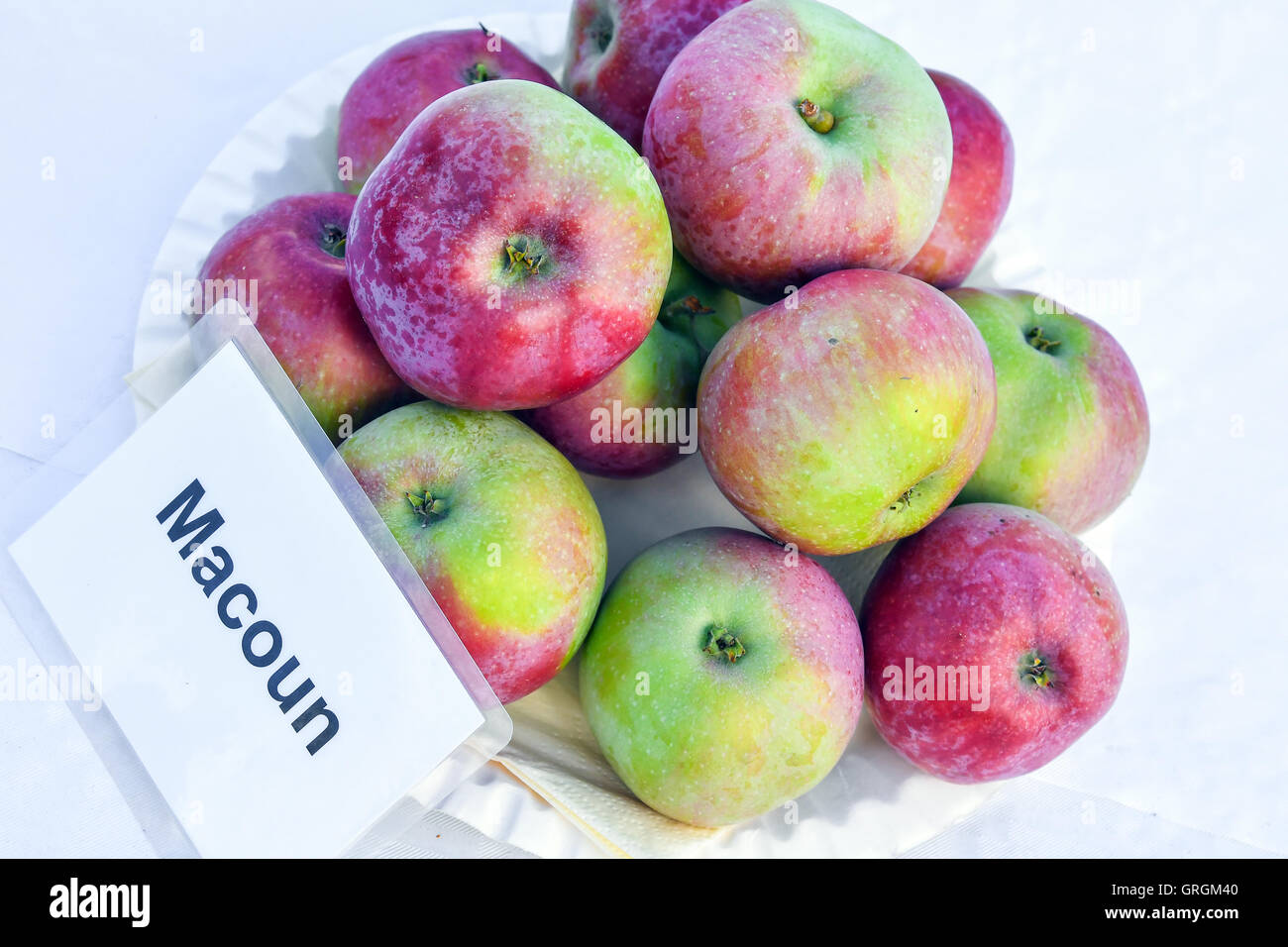 Muencheberg, Germany. 6th Sep, 2016. The apple variety 'Macoun ...