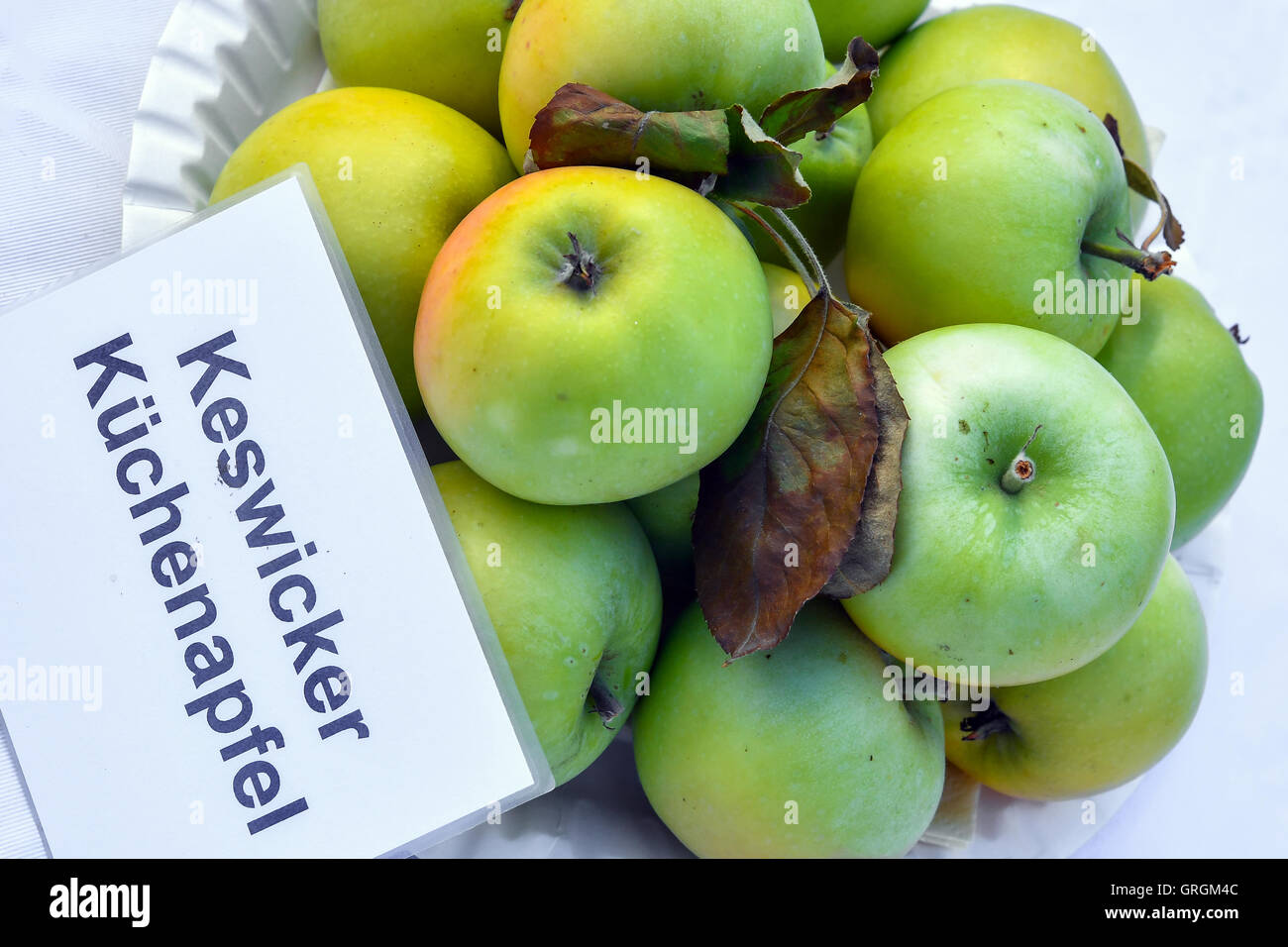 The apple variety 'Keswicker Kuechenapfel', photographed on the grounds ...