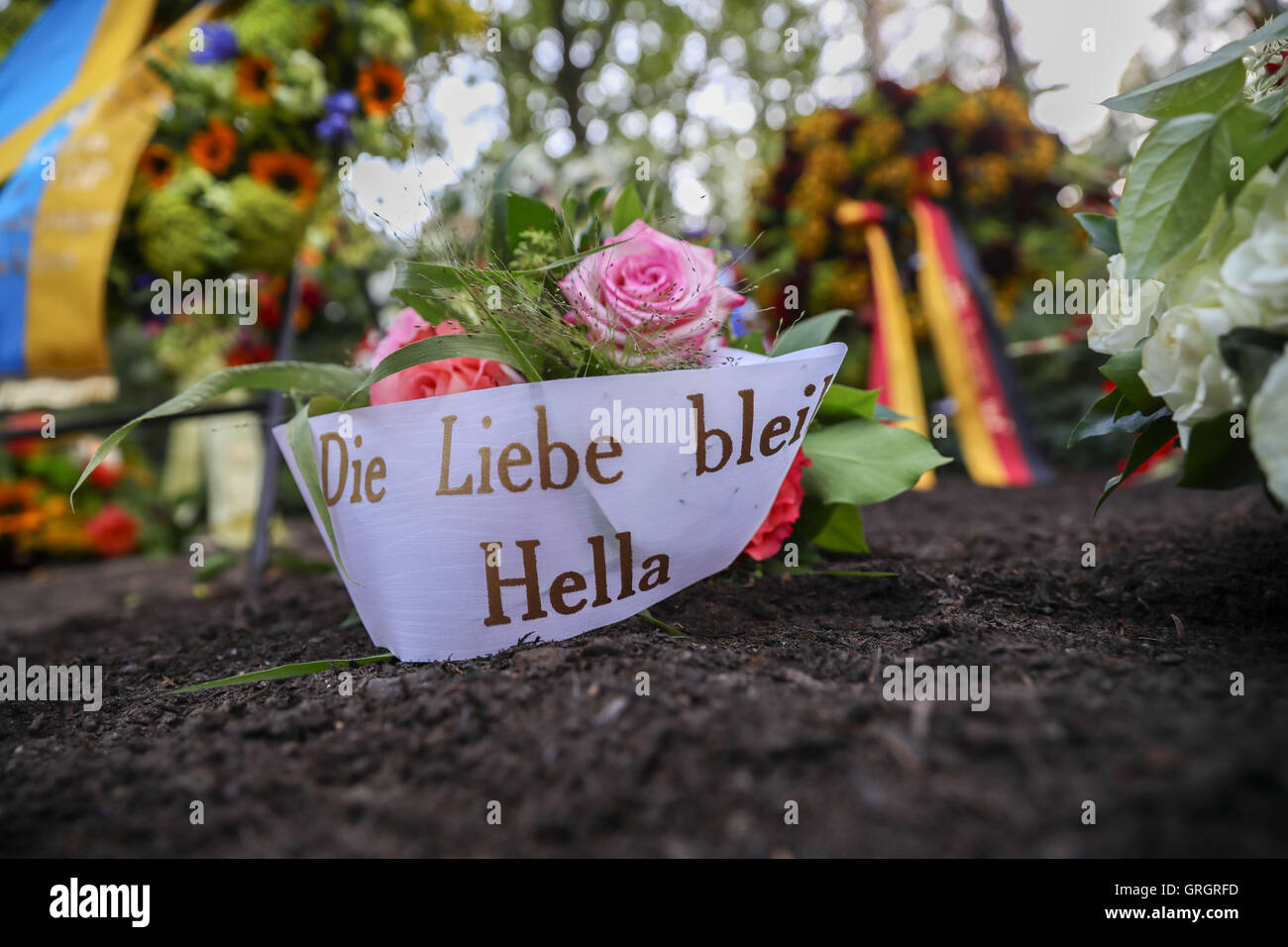 Willy brandt plot hi-res stock photography and images - Alamy
