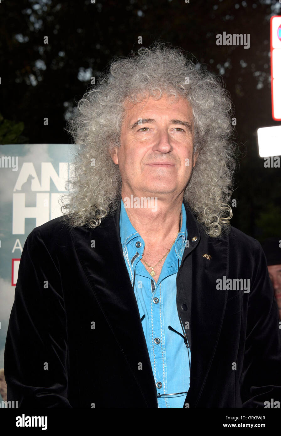 London, UK. 07th Sep, 2016. Dr Brian May attending the Daily Mirror ...