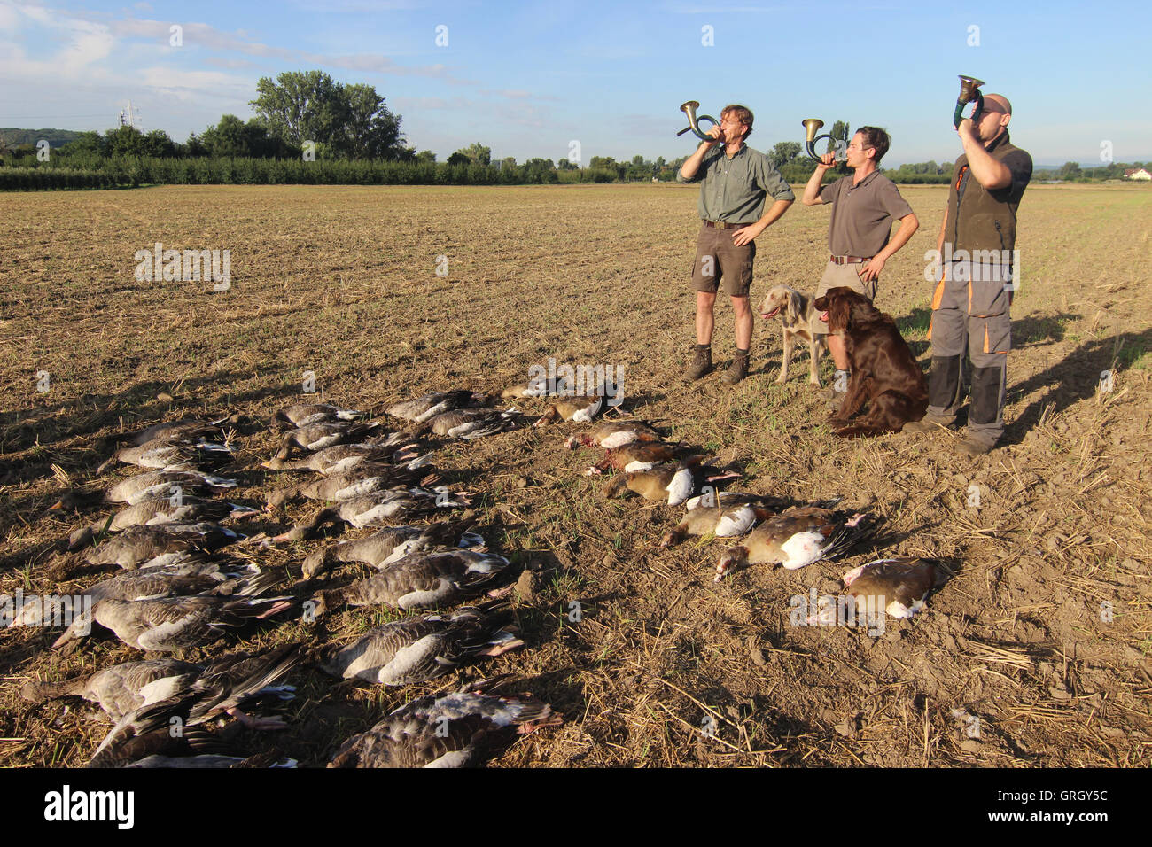 State hunting association hi-res stock photography and images - Alamy