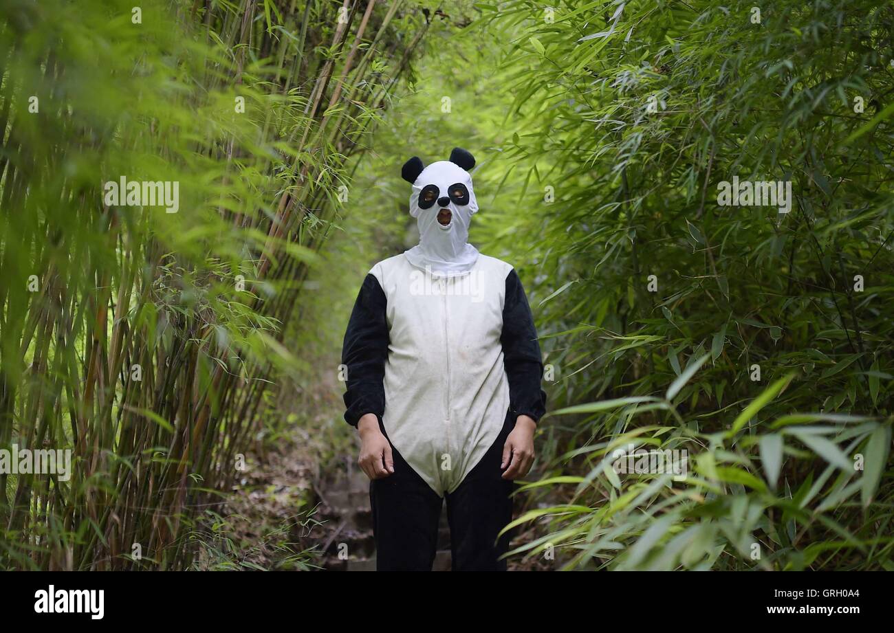 Panda costume china hi-res stock photography and images - Alamy