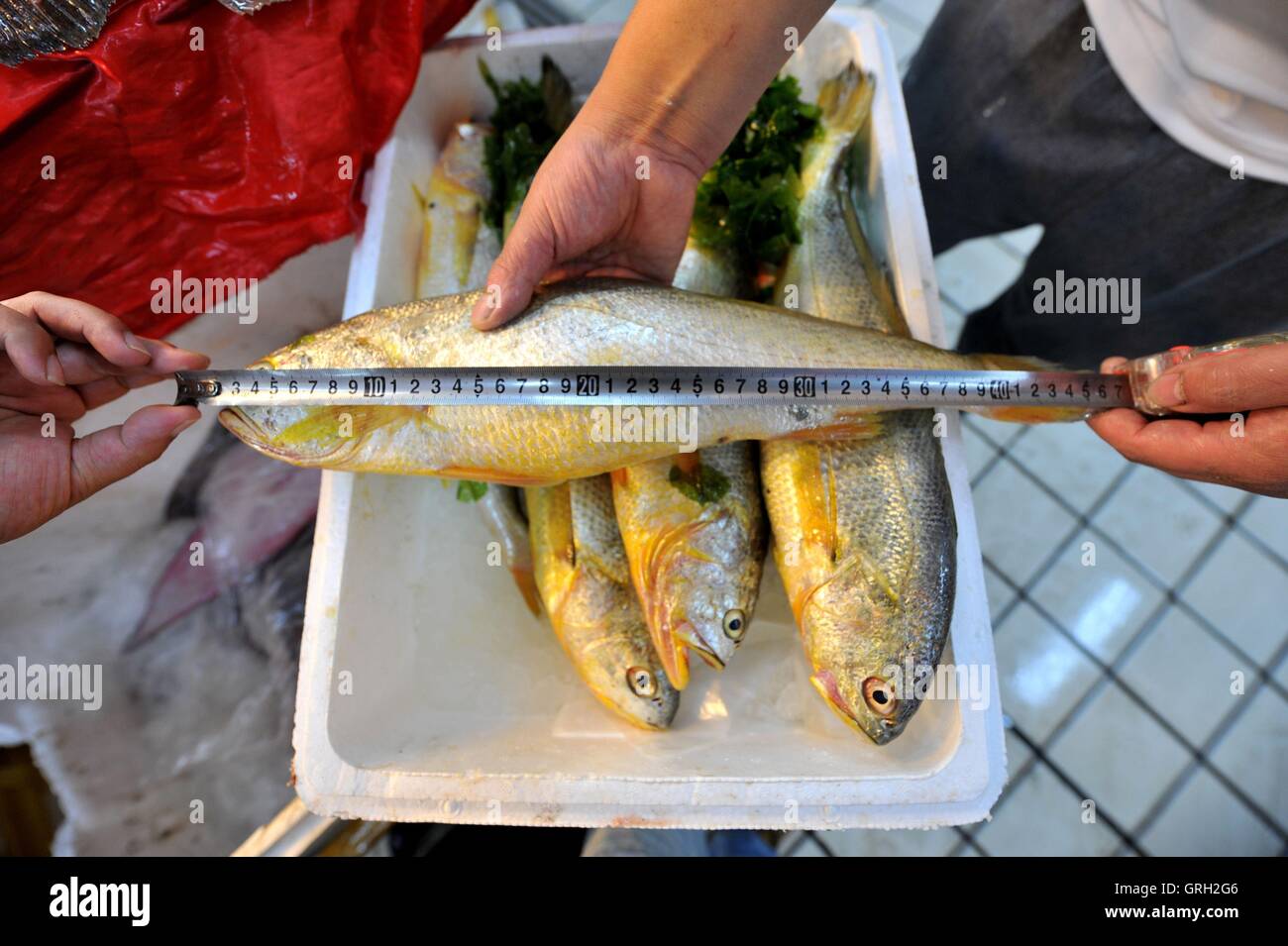 China croaker hi-res stock photography and images - Alamy