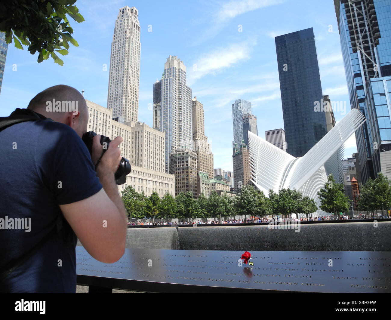 New York, US. 9th Aug, 2016. A man taking a photo of a rose on the ...