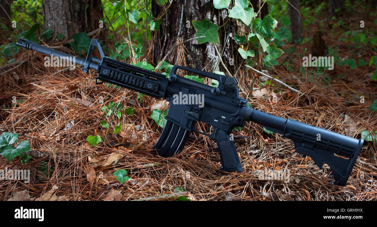 Black and gray assault rifle in a forest with lots of pine needles ...