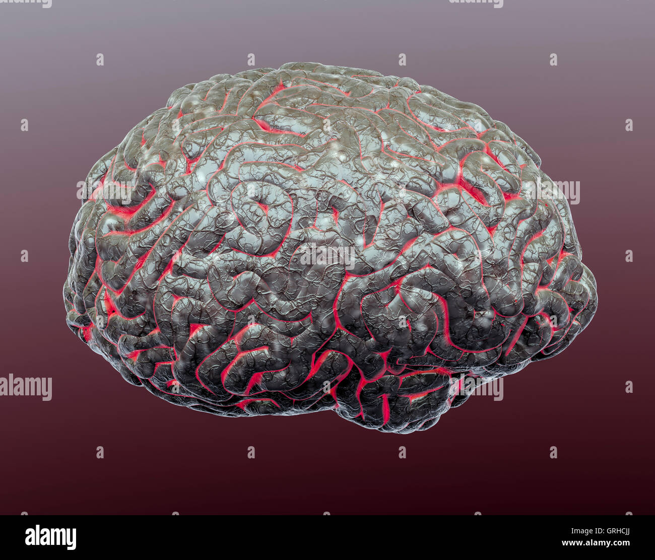 A human brain floats in the air as a technical illustration to show its ...