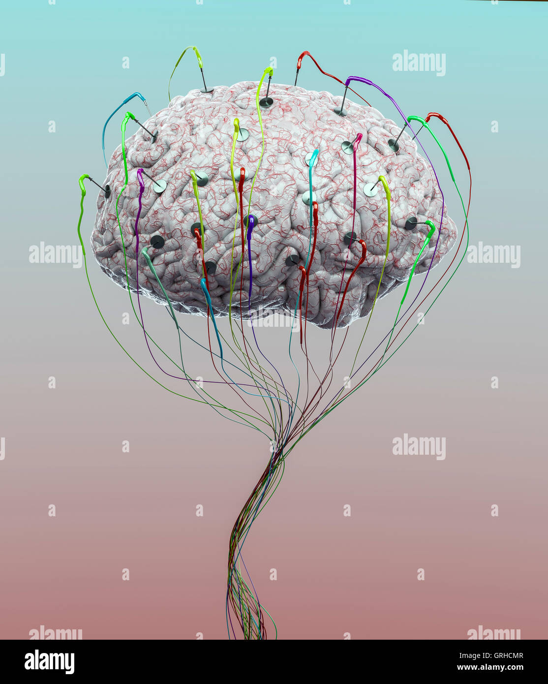 Human brain side view hi-res stock photography and images - Alamy
