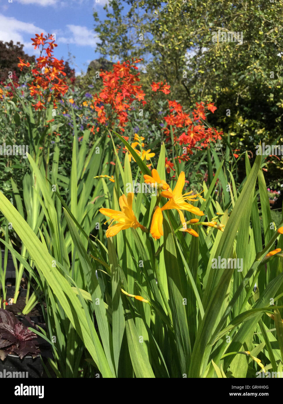 charlecote park stately home grounds estate uk gb gardens tourism ...