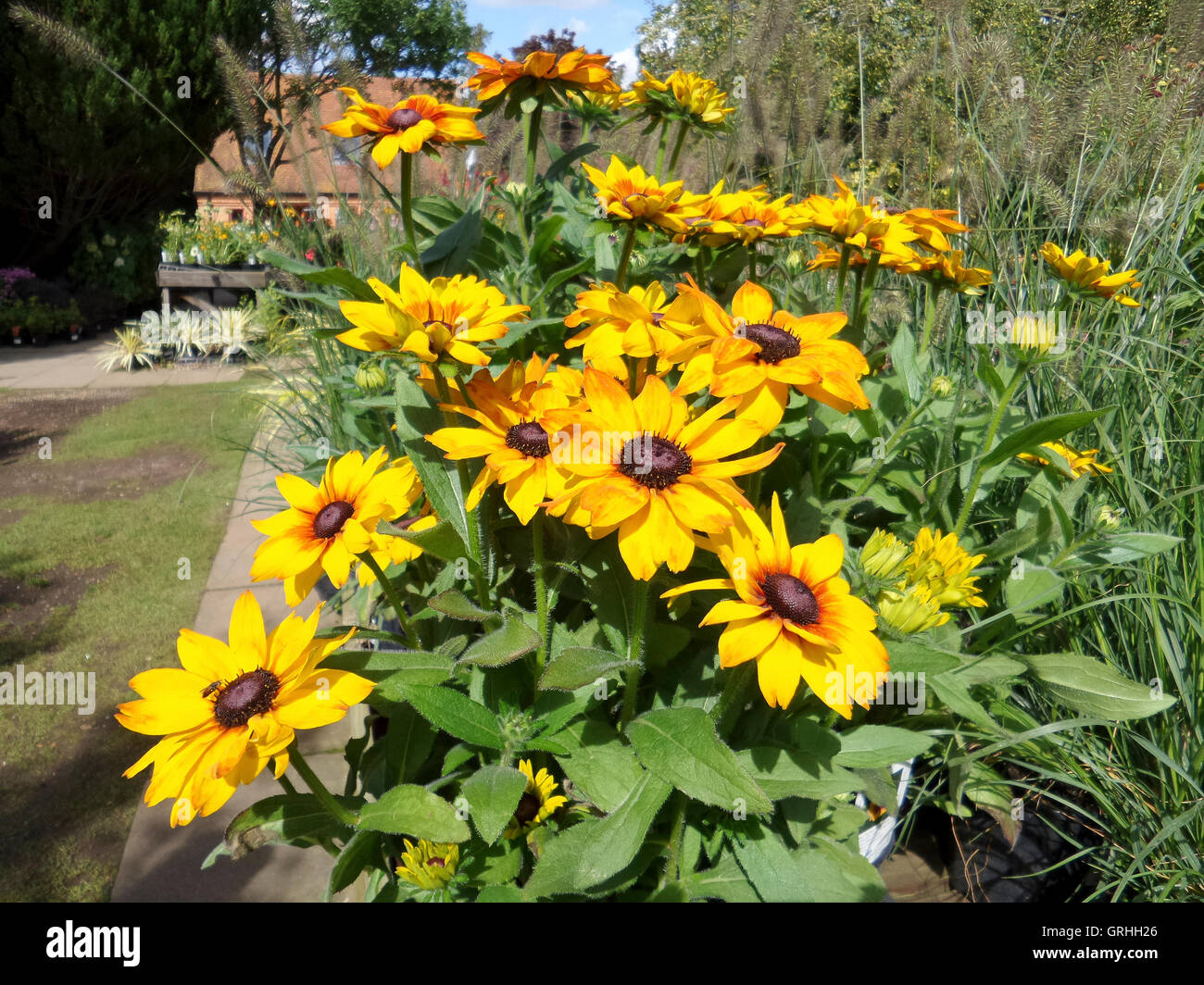 charlecote park stately home grounds estate uk gb gardens tourism ...