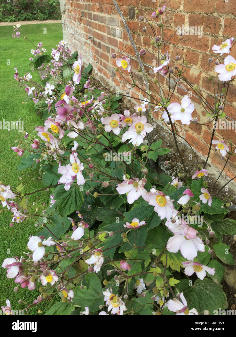 charlecote park stately home grounds estate uk gb gardens tourism ...