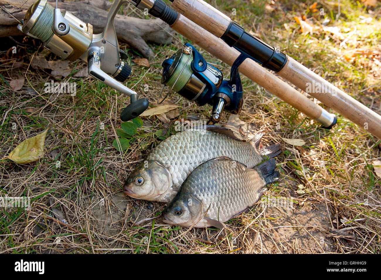Fish fishing hi-res stock photography and images - Alamy
