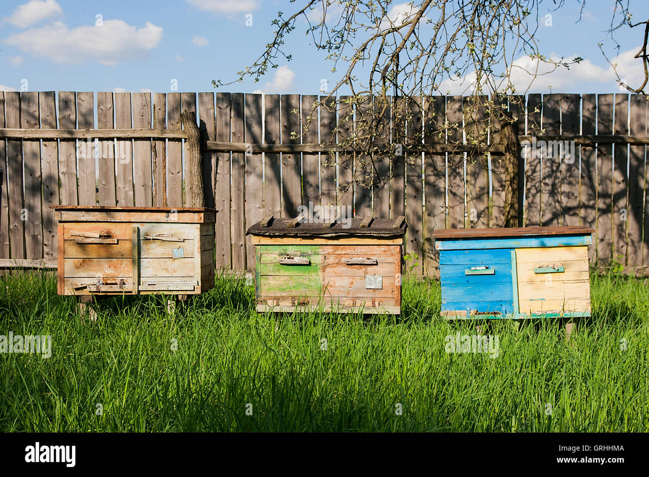 Several beehives in front of fence in the fruit garden in Ukraine ...
