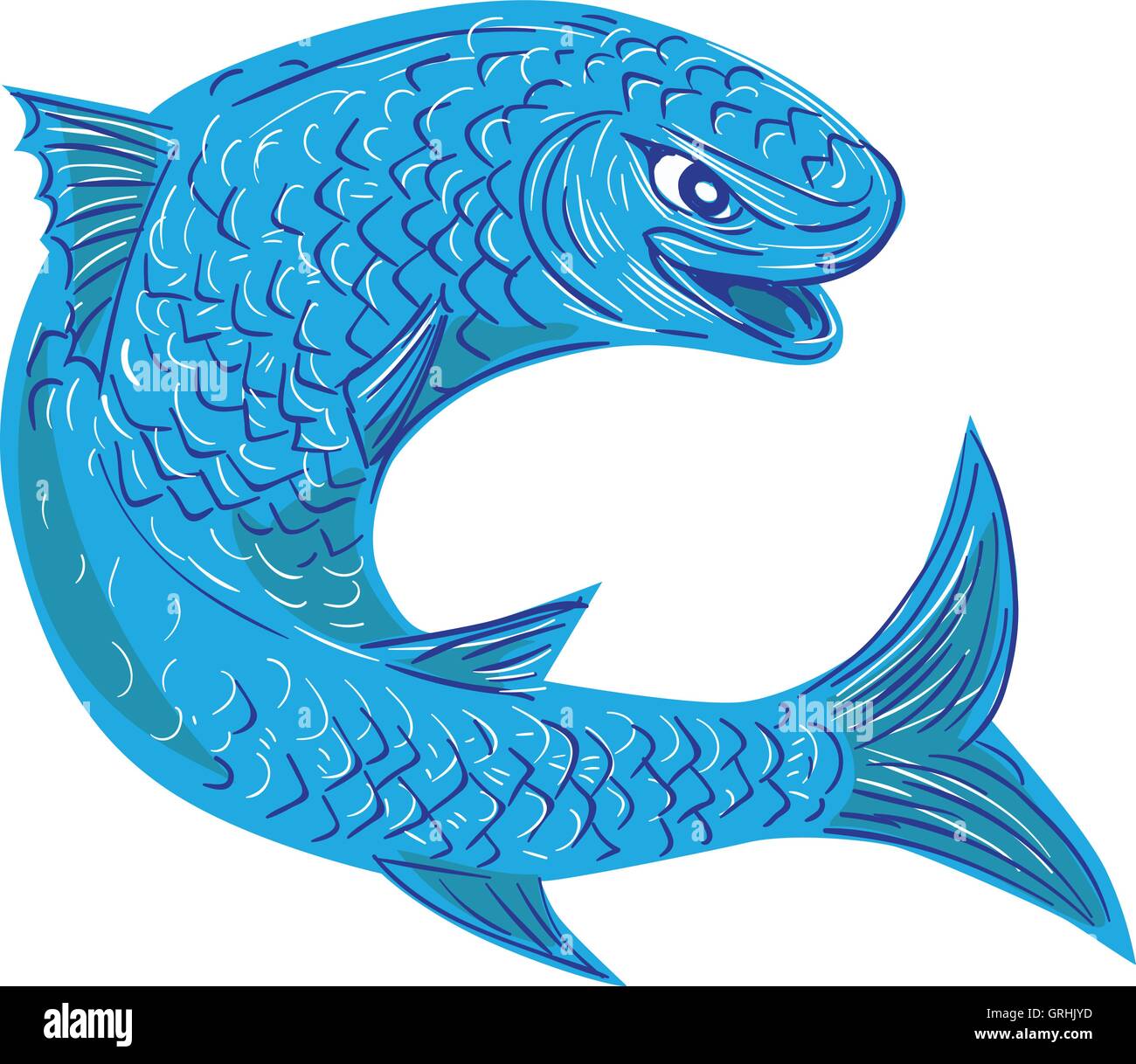 Jumping mullet fish hi-res stock photography and images - Alamy