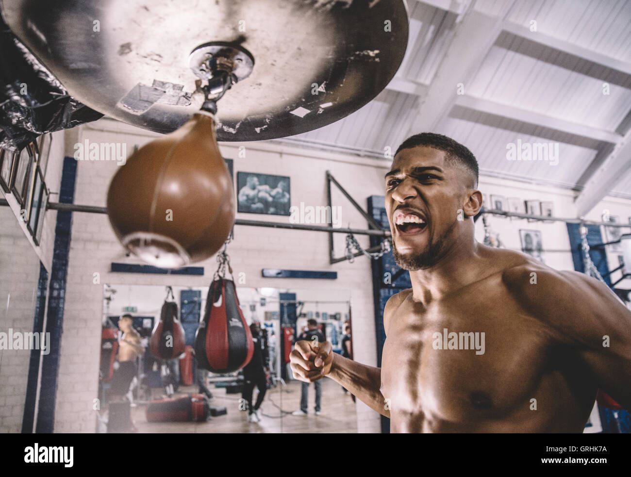 British Heavyweight boxer, Anthony Joshua during a portrait session at ...