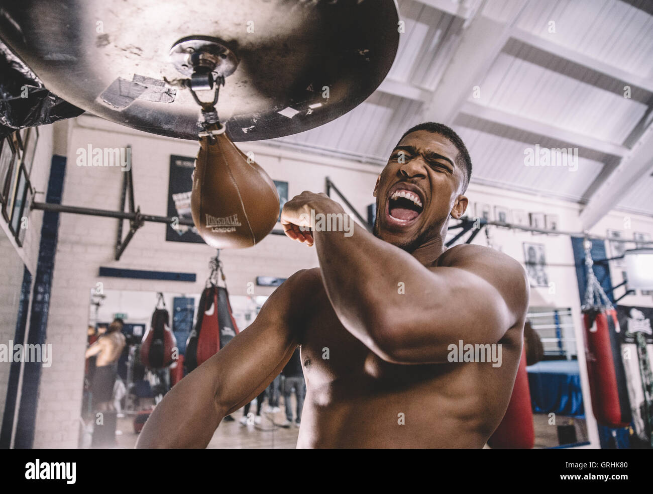 British Heavyweight boxer, Anthony Joshua during a portrait session at ...