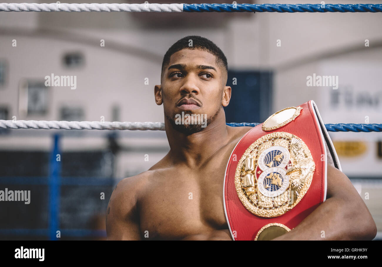 British Heavyweight boxer, Anthony Joshua during a portrait session at ...