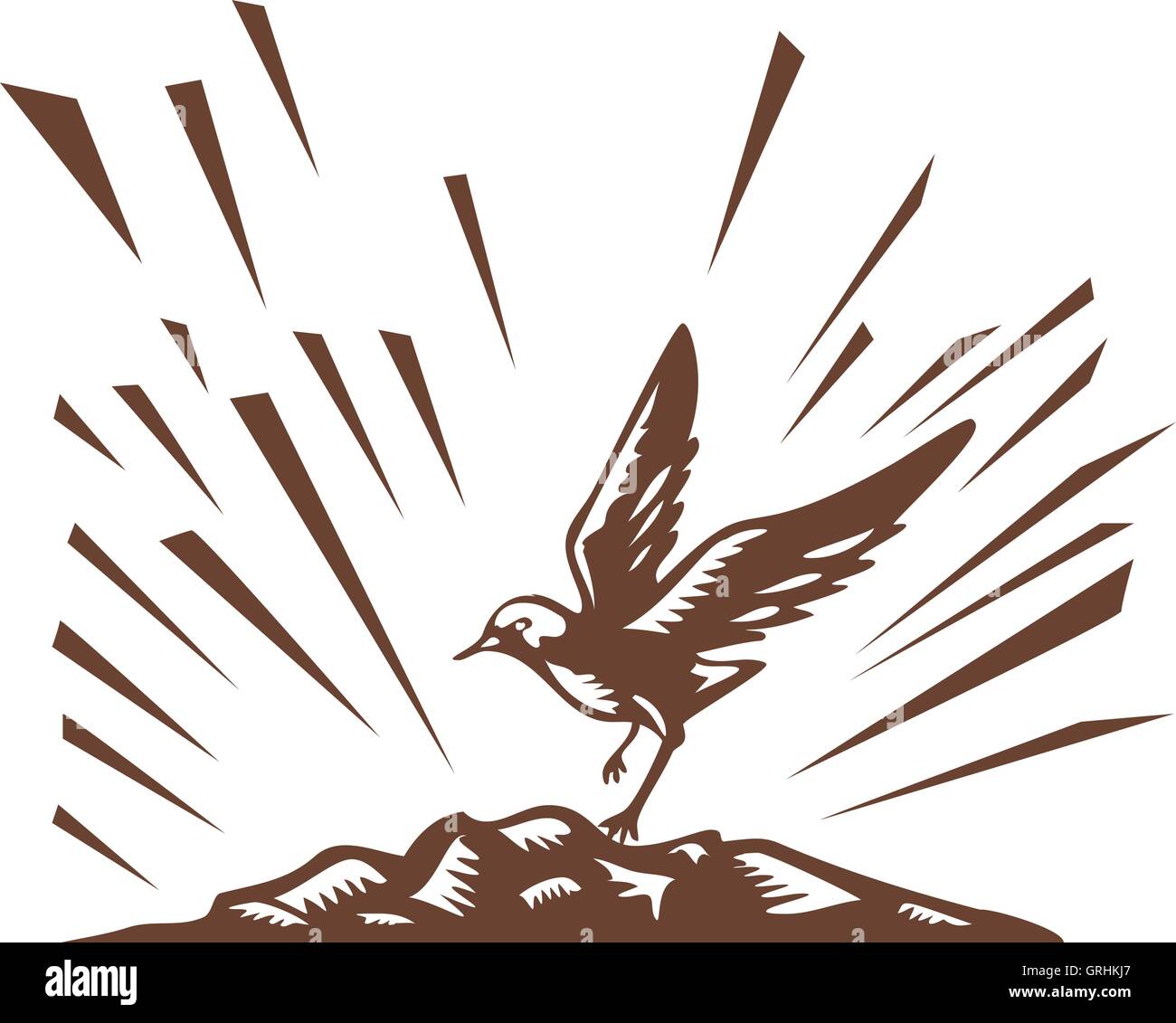 Plover Landing Island Woodcut Stock Vector Image & Art - Alamy