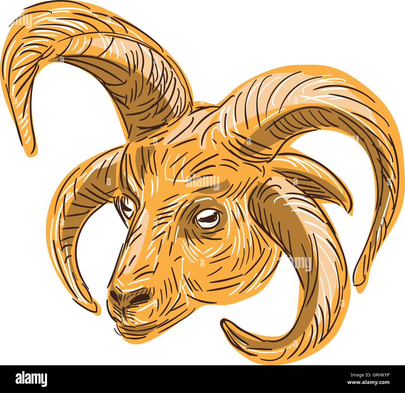 Manx loaghtan hi-res stock photography and images - Alamy