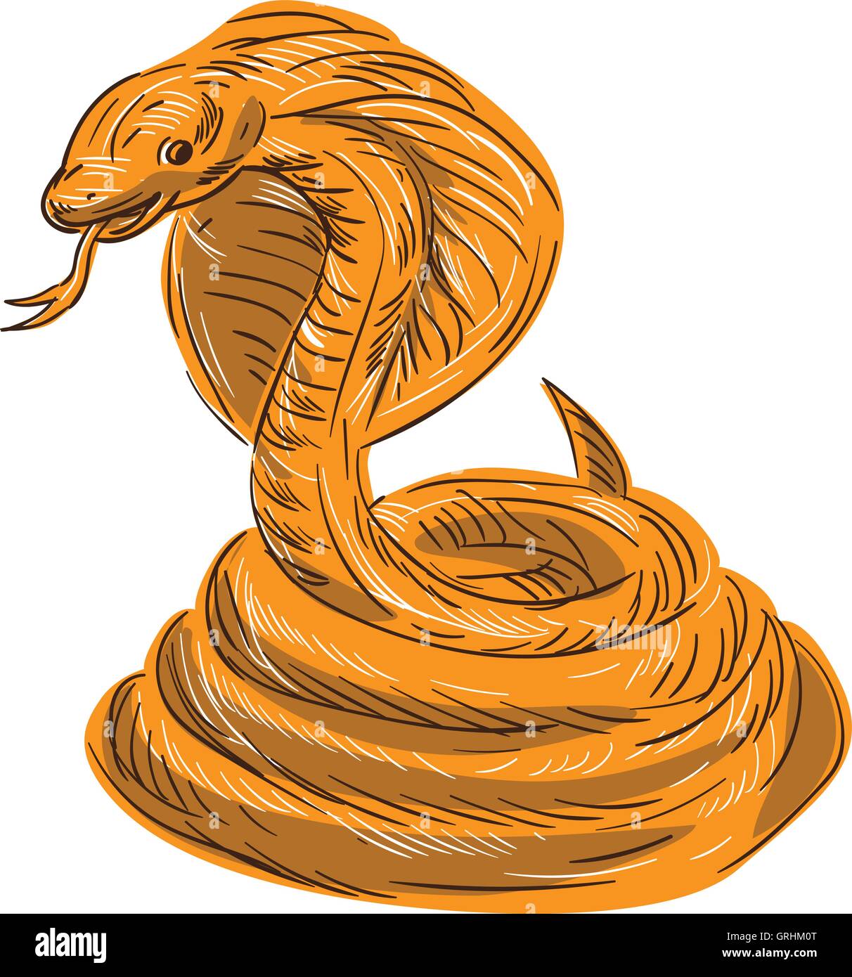 Coiled snake illustration hi-res stock photography and images - Alamy