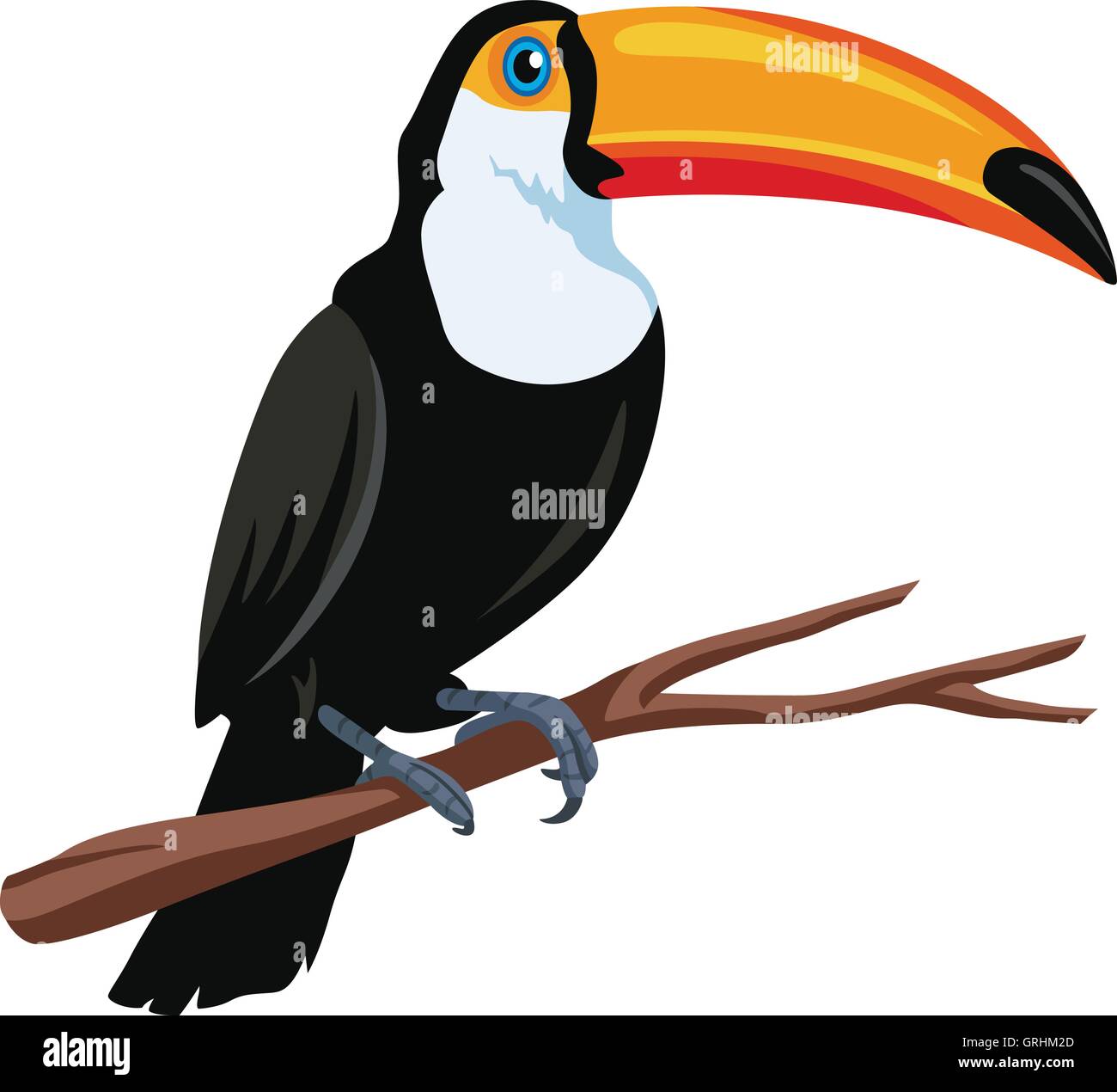 Toucan design hi-res stock photography and images - Alamy