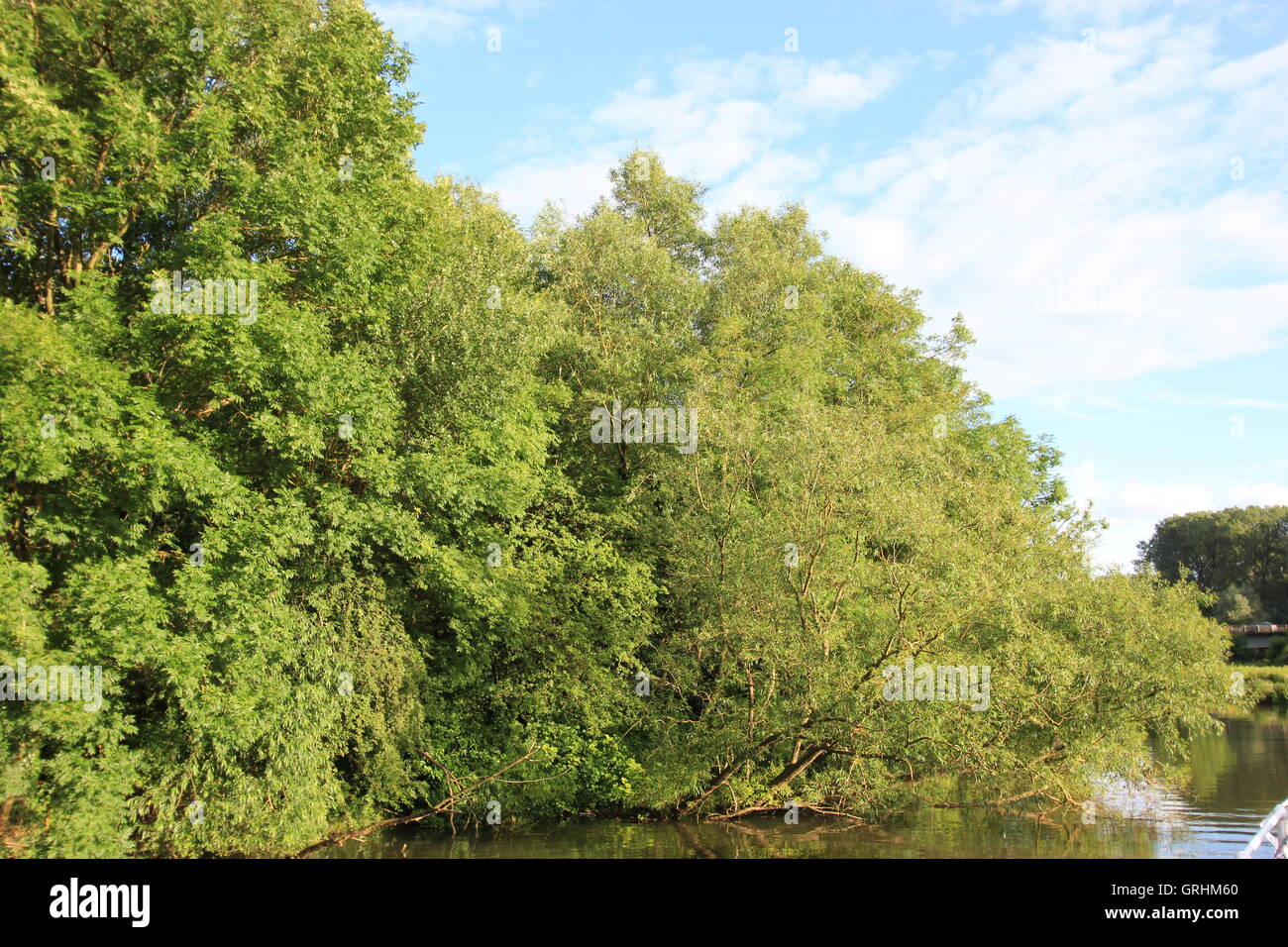 River Thames, Iffley, Oxfordshire, England Stock Photo - Alamy