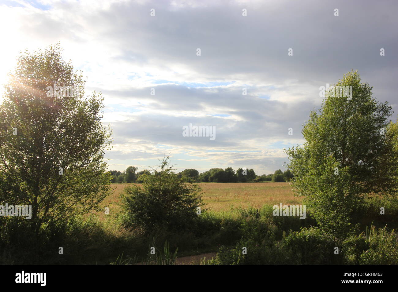 River Thames, Iffley, Oxfordshire, England Stock Photo - Alamy