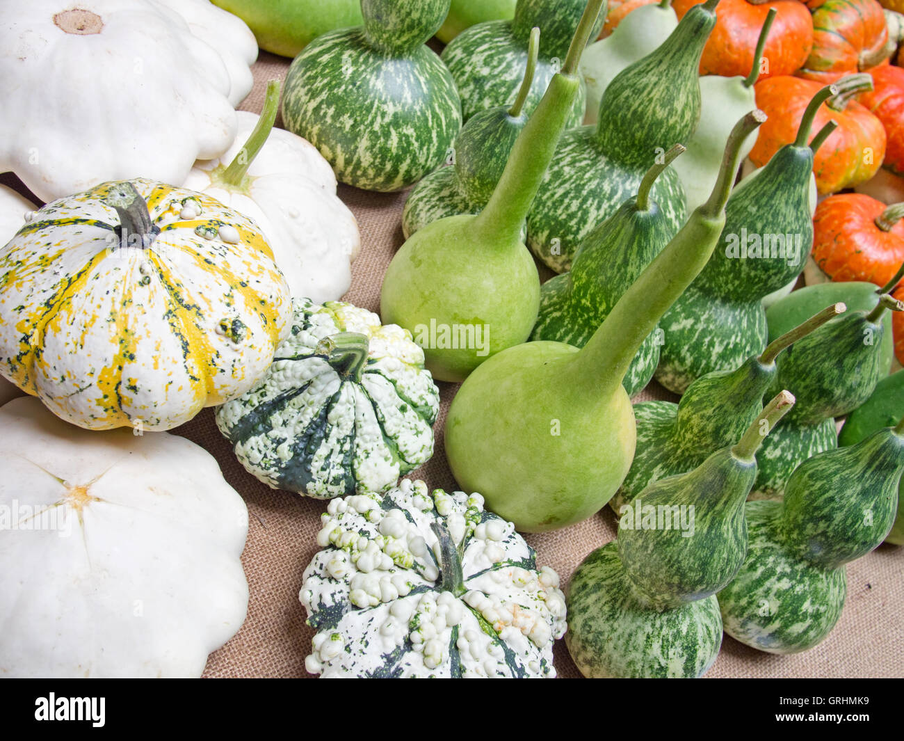 Decorative gourds hi-res stock photography and images - Alamy