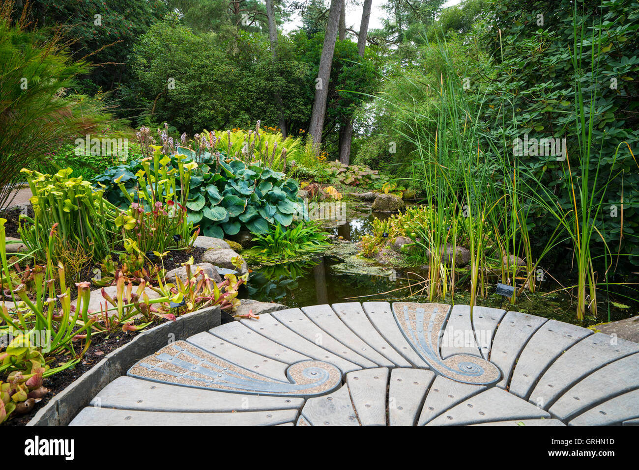 Garden and pond at Inverewe Garden , Wester Ross, Scotland United ...