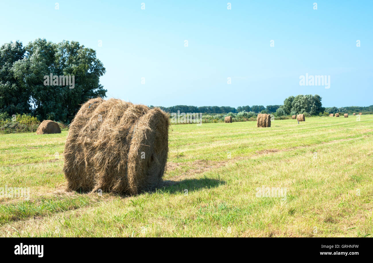 Grass hay landscape hi-res stock photography and images - Alamy