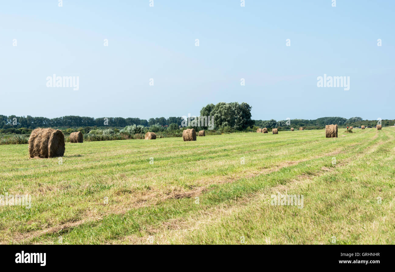 Grass hay landscape hi-res stock photography and images - Alamy