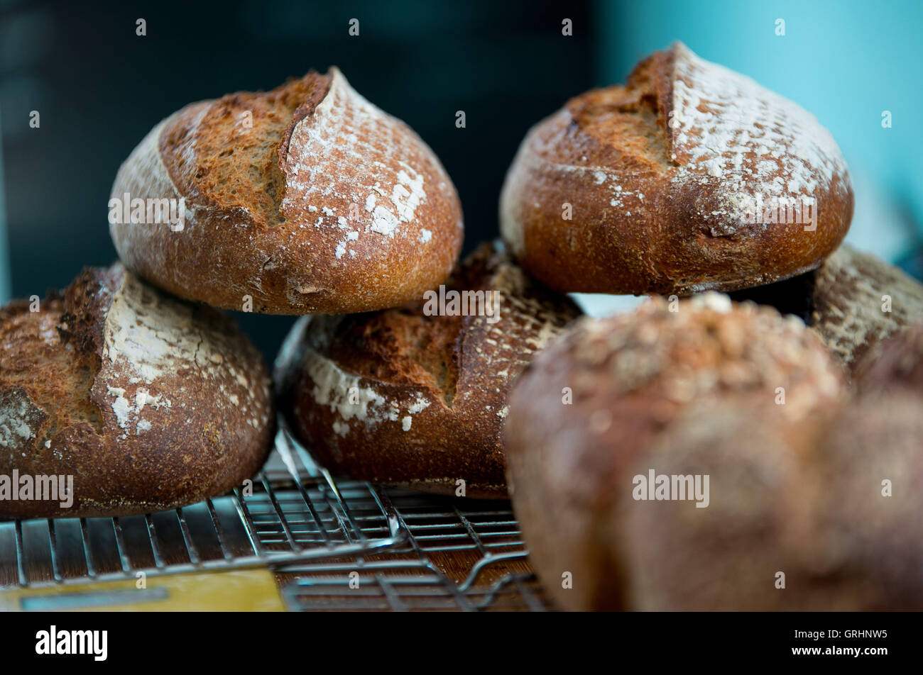 Freshly baked loaves of bread Stock Photo - Alamy