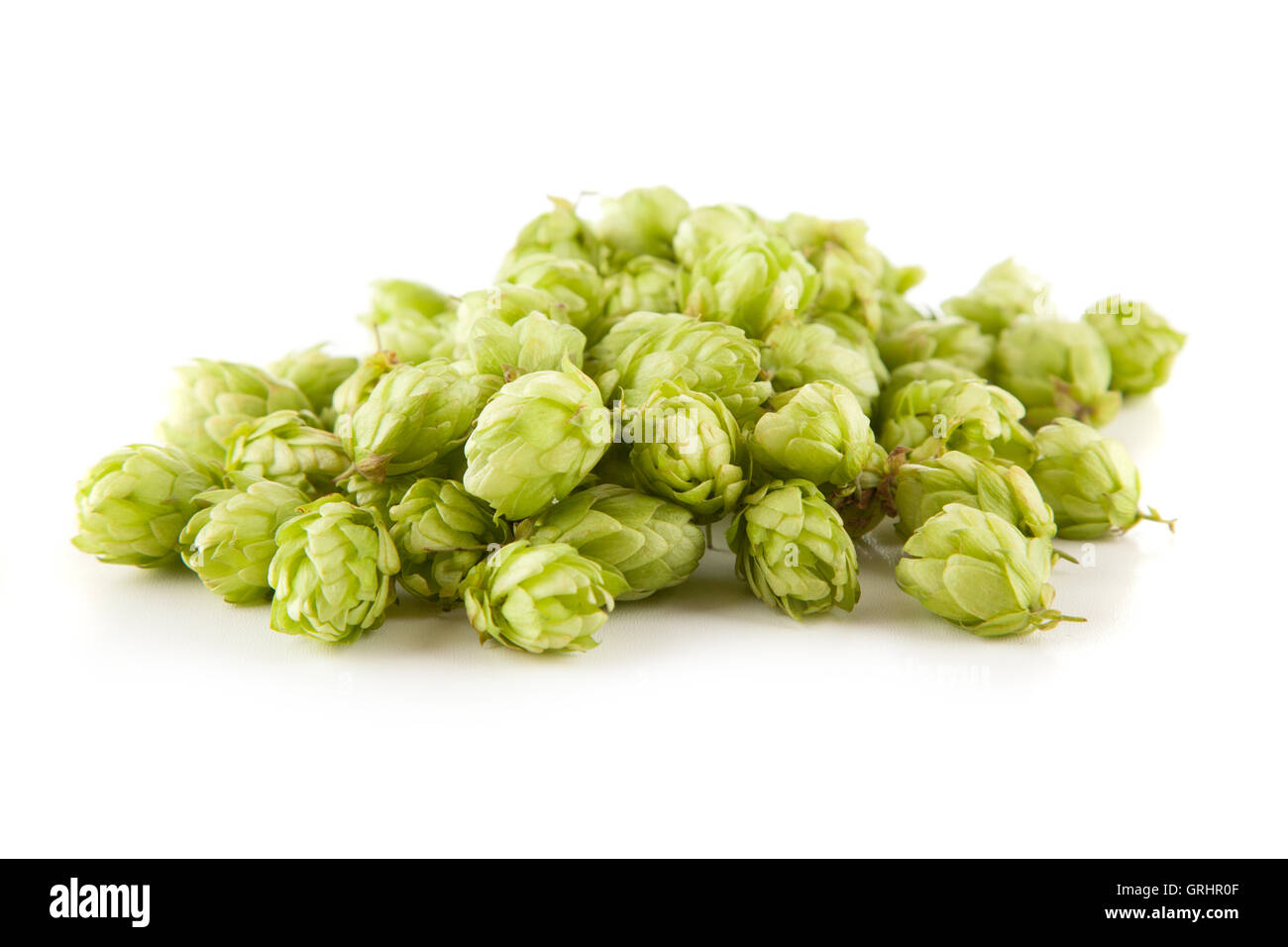 Fresh green hops Stock Photo - Alamy